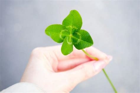 4 Reasons Your A B Split Test Results Arent Statistically Significant—and How To Fix Them