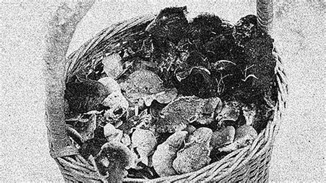 Bodl Souseda A šel Na Houby Ahaonlinecz