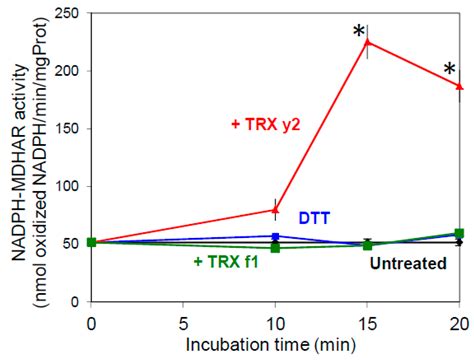 Redox Regulation Of Monodehydroascorbate Reductase By Thioredoxin Y In