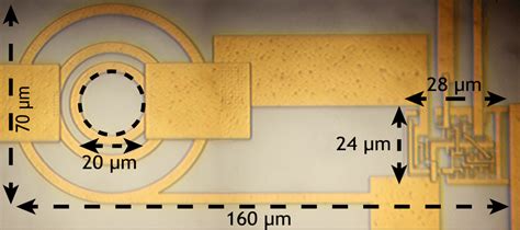 6 A Micrograph Of A Portion Of The Linear Array Showing The 20 µm Spad