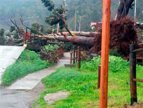 Casas destruidas y árboles cortando caminos así fue el paso del temporal por Juan Fernández