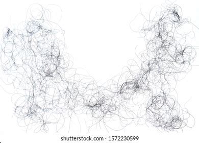 Pubic Hair Fall Isolated On White Stock Photo 2279002135 Shutterstock