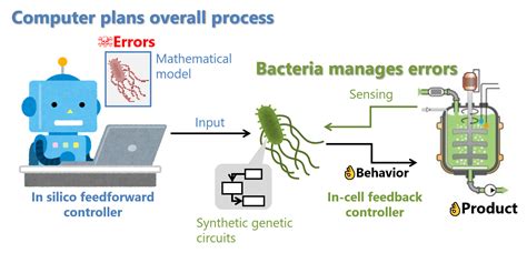 Proof Of Concept Method Advances Bioprocess Engineering For A Smoother Transition To Biofuels