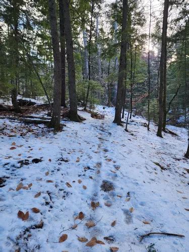 Best Waterfall Trails In Fredericton Alltrails