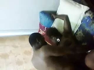 Png Kwap Cheating Amateur Porn Xhamster