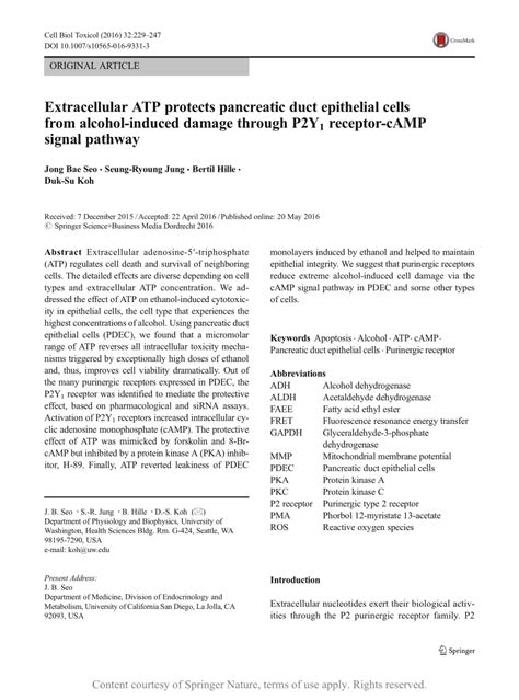 Extracellular Atp Protects Pancreatic Duct Epithelial Cells From