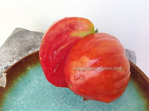 Gildo Pietroboni Tomato - Renaissance Farms Heirloom Tomato Seeds