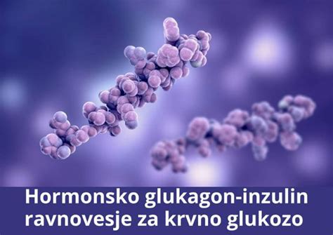Glukagon Inzulin Hormona Krvne Glukoze Amritana Si