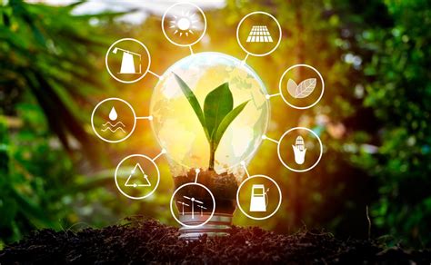 Qué debes considerar antes de invertir en CETES en 2025 descubre cómo