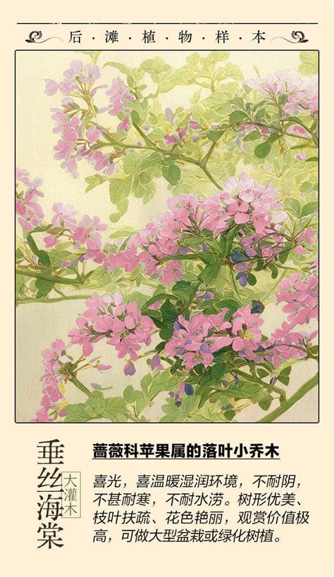 江河澎湃，2024