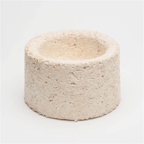 Home Packaging Products Grown From Mushroom Mycelium Mushroom Packaging