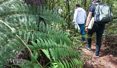 Parque Arví Medellín A Complete 2025 Travel Guide