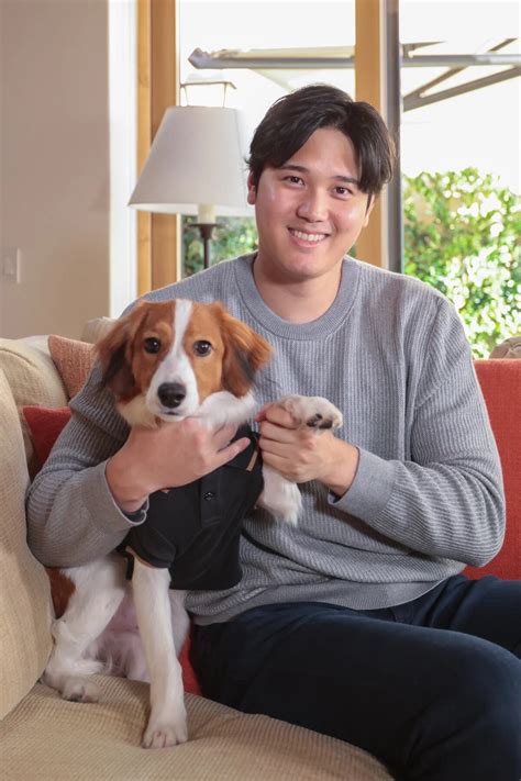 Dekopin El Perro De Shohei Ohtani Que Recibió Una Visa” Honoraria