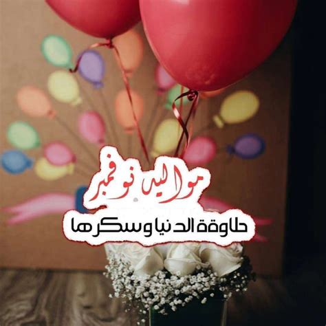 كلام جميل عن مواليد شهر نوفمبر تعرف على صفات مواليد نوفمبر موقع