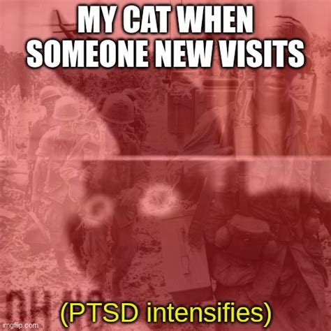 Wtf Imgflip