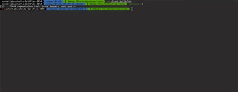 Aut Failed To Start While Running The Test Scenarios · Issue 9916