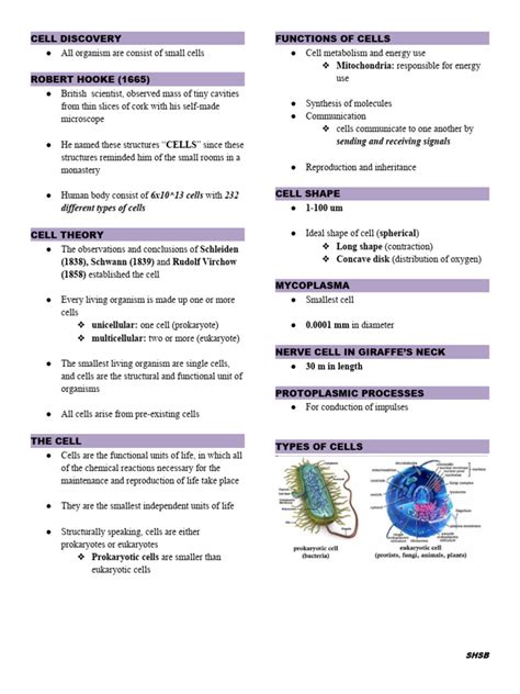 Cell Discovery Pdf Mitosis Cell Membrane