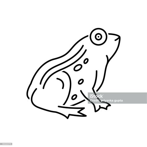 개구리 두드 배트라치안 개구리에 대한 스톡 벡터 아트 및 기타 이미지 개구리 로고 개골개골 Istock