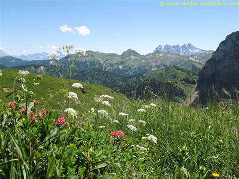 Randonnées très faciles en Haute Savoie et Alpes Randos MontBlanc