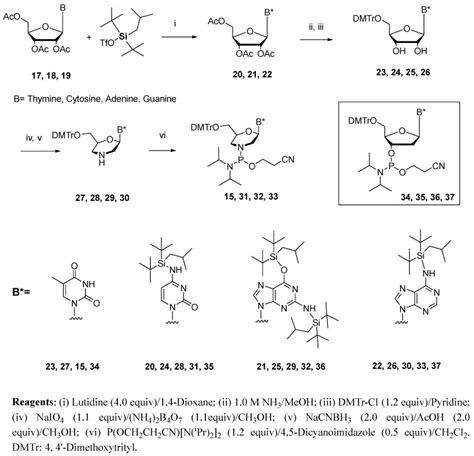 Synthesis Of Backbone Modified Morpholino Oligonucleotides Using