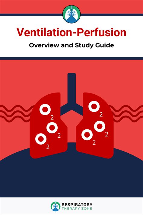 Ventilation Perfusion Ratio What Is A V Q Mismatch Artofit