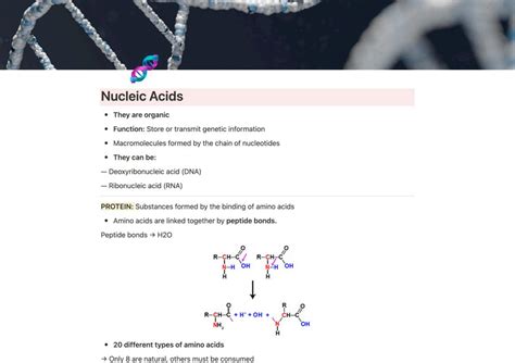 SOLUTION Nucleic Acids Basics Studypool