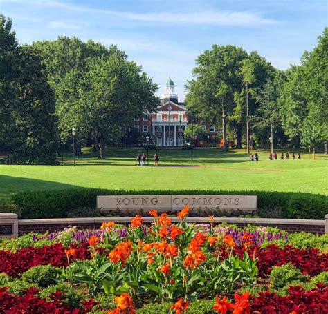 Elon University
