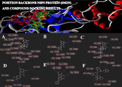 The Results Of Docking And Amino Acid Interactions From Hydrogen Bonds