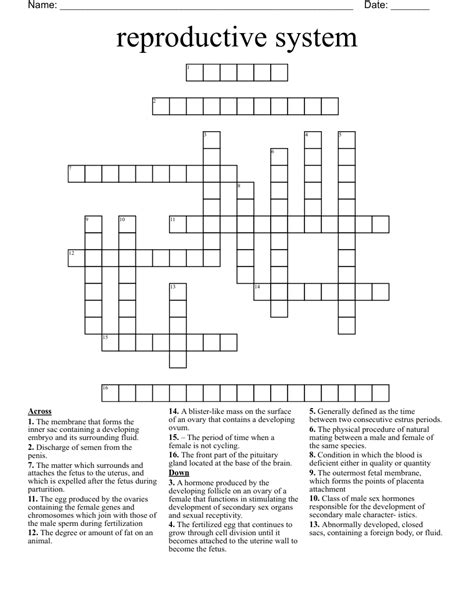 Reproductive System Crossword Wordmint