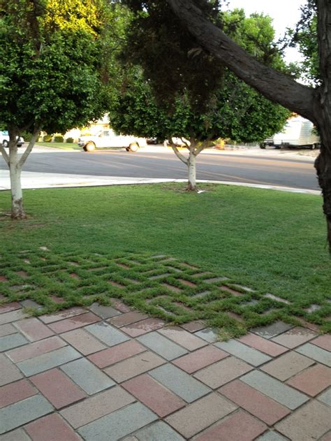 Pavers With Grass Edging Grass Edging Patio Grass