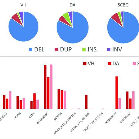 Types And Distribution Patterns Of Structural Variations Svs A Download Scientific