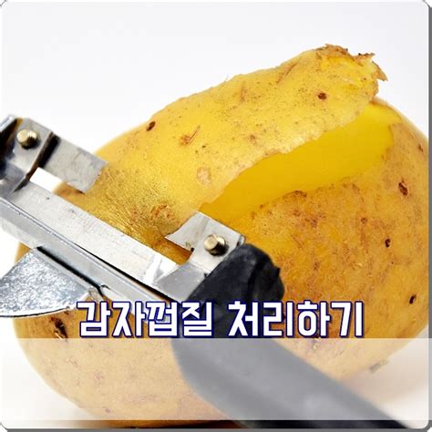 감자껍질 분리수거 음식물쓰레기 여부 확인 네이버 블로그