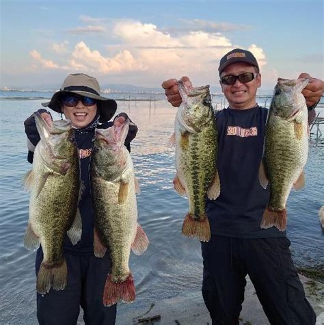 45〜56cm（2600g）合計10本 Brush（ブラッシュ） 琵琶湖 バスフィッシング情報、釣果 動画 ムービー満載