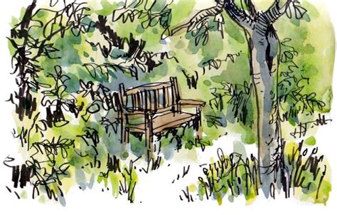 Trees Sketchbook Sketch Book Watercolor Tree Watercolor And Ink