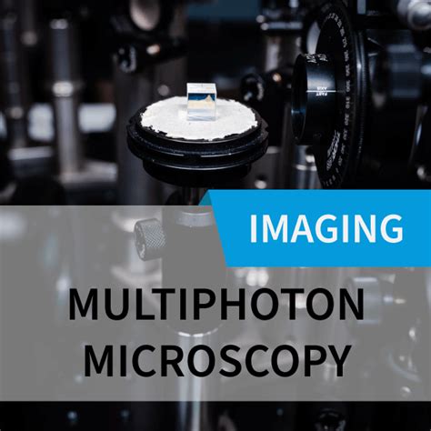 Austrian Bioimaging Multiphoton Microscopy