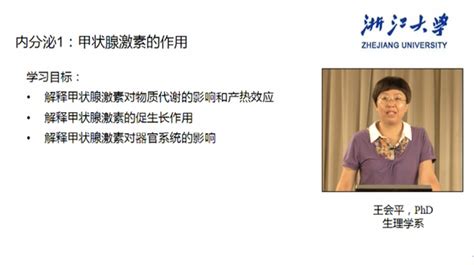 浙江大学生理学甲状腺激素的作用王会平 贪吃的夜猫子