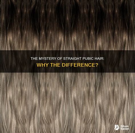 The Mystery Of Straight Pubic Hair Why The Difference Shunsalon