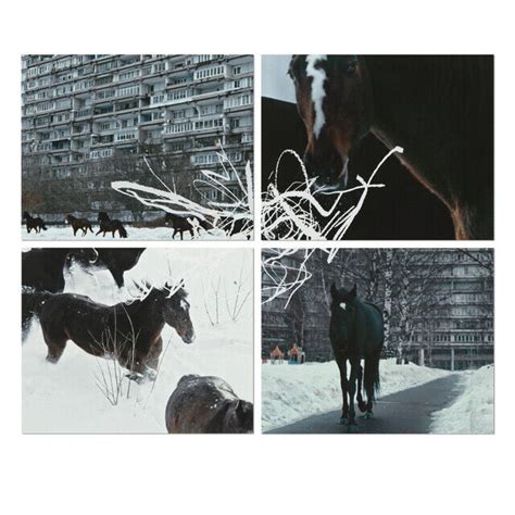 Anne Imhof Youth 2023 Available For Sale Artsy