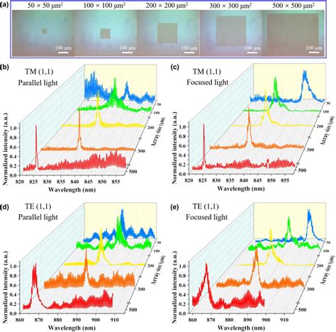Effects Of Array Size A Microscope Images Of The Thick Atm With