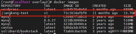 Linux Docker Error Response From Daemon Conflict Unable To