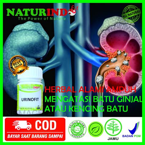 Jual Herbal Susah Buang Air Kecil Mengatasi Batu Ginjal Batu Ginjal