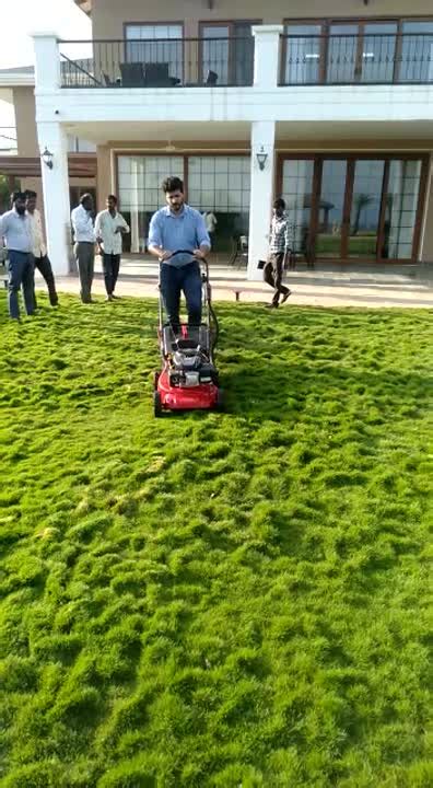 Shubham Padle On Linkedin For Mowing Hardest Grass You Need Toughest
