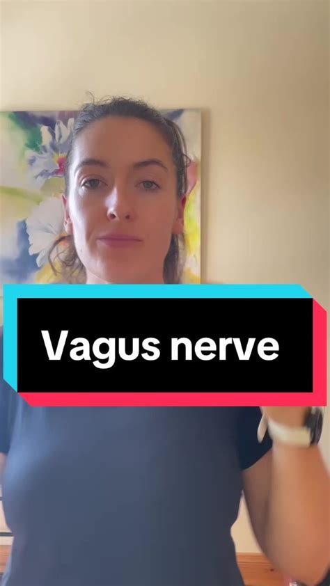 Pin On Vagus Nerve