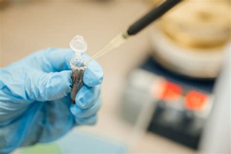 Tpu Scientists Find Effective Method Of Arsenic Removal From Water Tpu