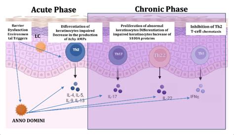Effects Of Cytokines On The Epidermis On Ad Download Scientific Diagram