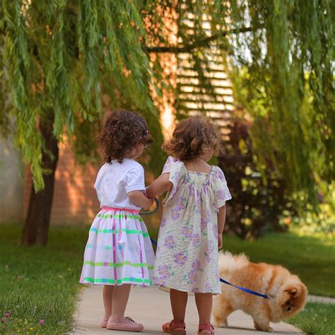 მწვანე ქალაქი მწვანე ქალაქი ლისზე Lisi Green Town