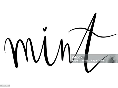 심플한 디자인 요소 레터링 손 스타일 브러쉬 블랙 레터 라벨 조미료 스티커 레시피 메뉴 민트 프린트 광고 로고 0명에 대한 스톡 벡터 아트 및 기타 이미지 Istock