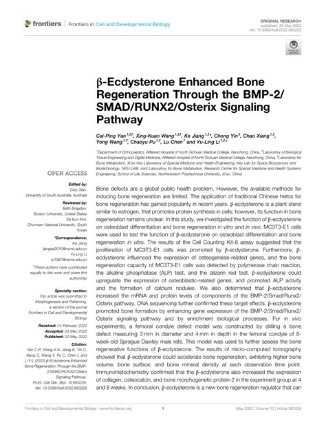Pdf β Ecdysterone Enhanced Bone Regeneration Through The Bmp 2smad
