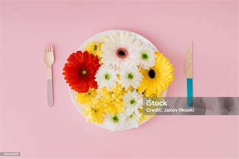 파스텔 핑크 배경에 다채로운 자연의 봄과 여름 꽃 포크와 나이프로 가득 찬 흰색 접시로 만든 크리 에이 티브 트렌디 한 레이아웃 플랫 레이 스타일 상의 모습 0명에 대한