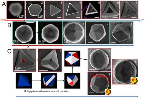 A1 7 The Evolution Of Clipped Triangular Platelets And Vertex